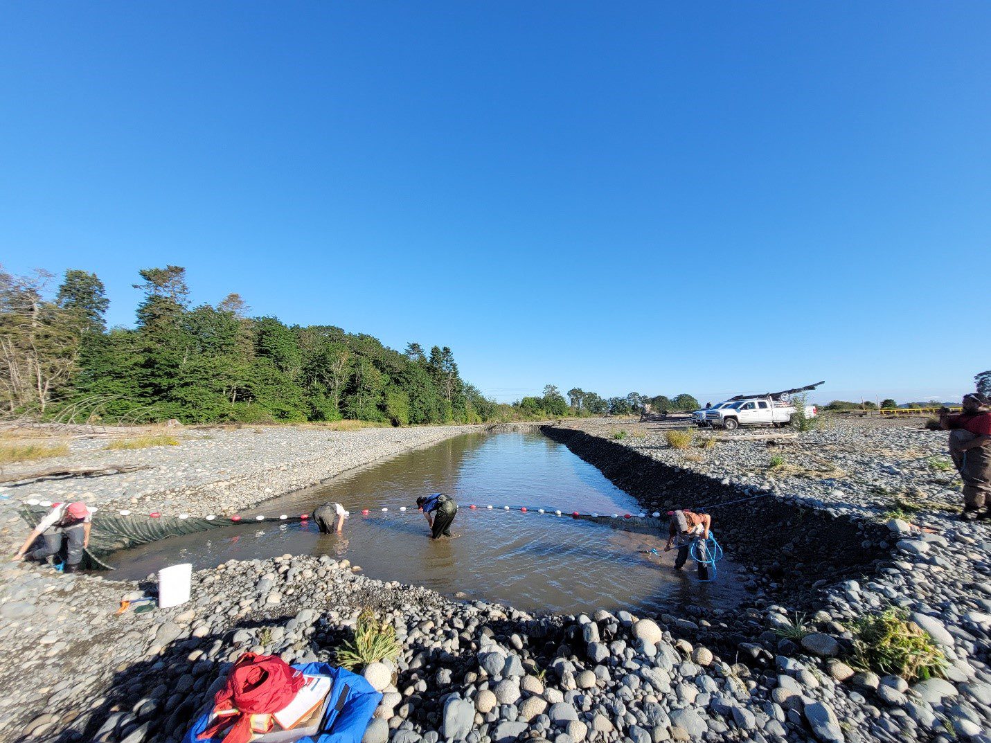 Restoring the Nanaimo River Estuary - The Nature Trust of British Columbia