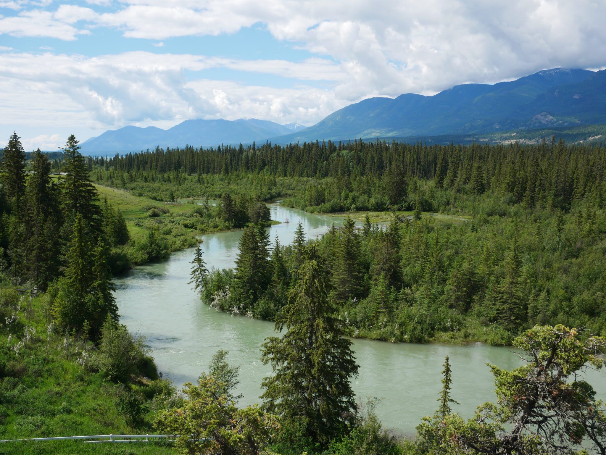 Columbia Lake North - Wetlands - The Nature Trust of British Columbia