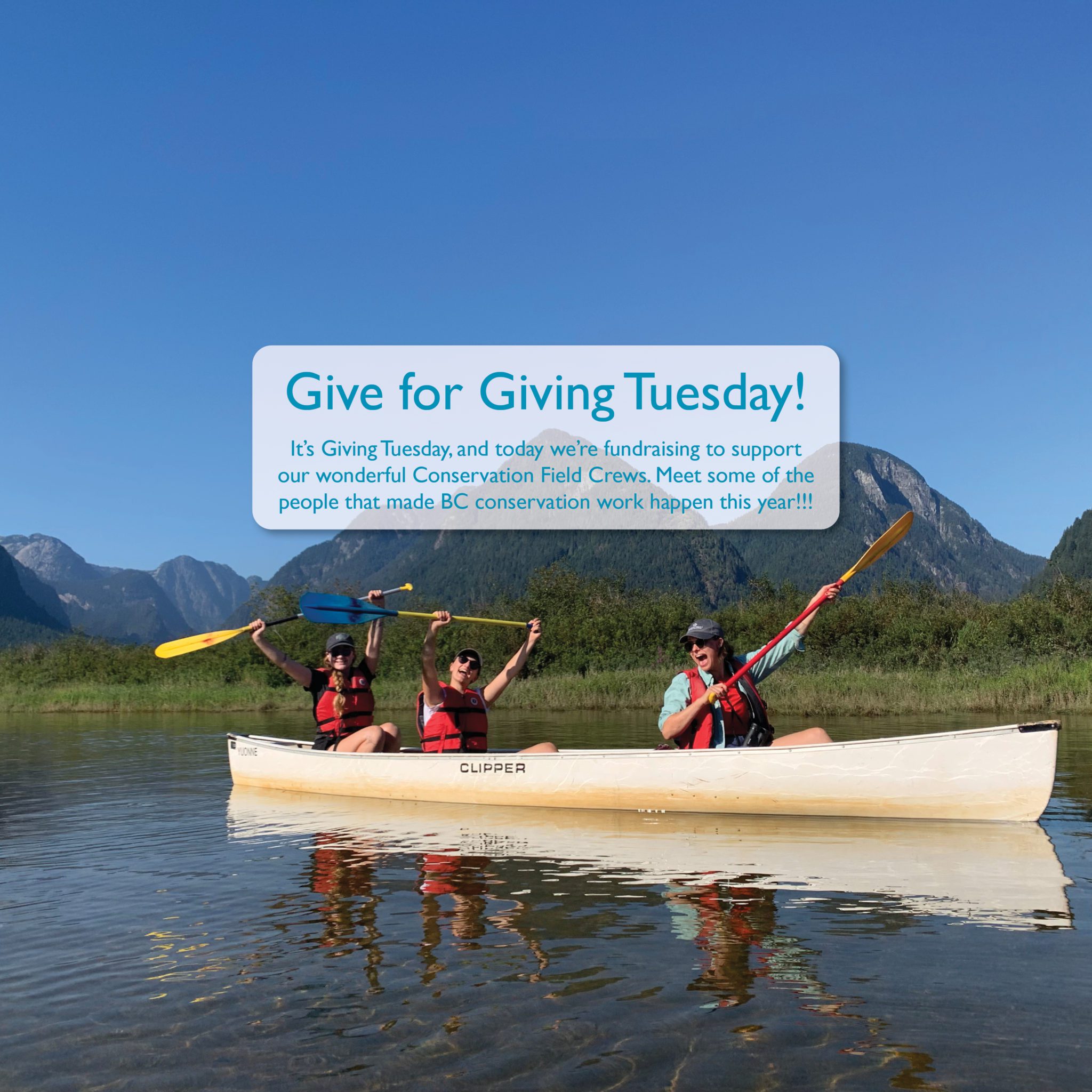 Giving Tuesday - Meet the 2022 Field Crews - The Nature Trust of ...