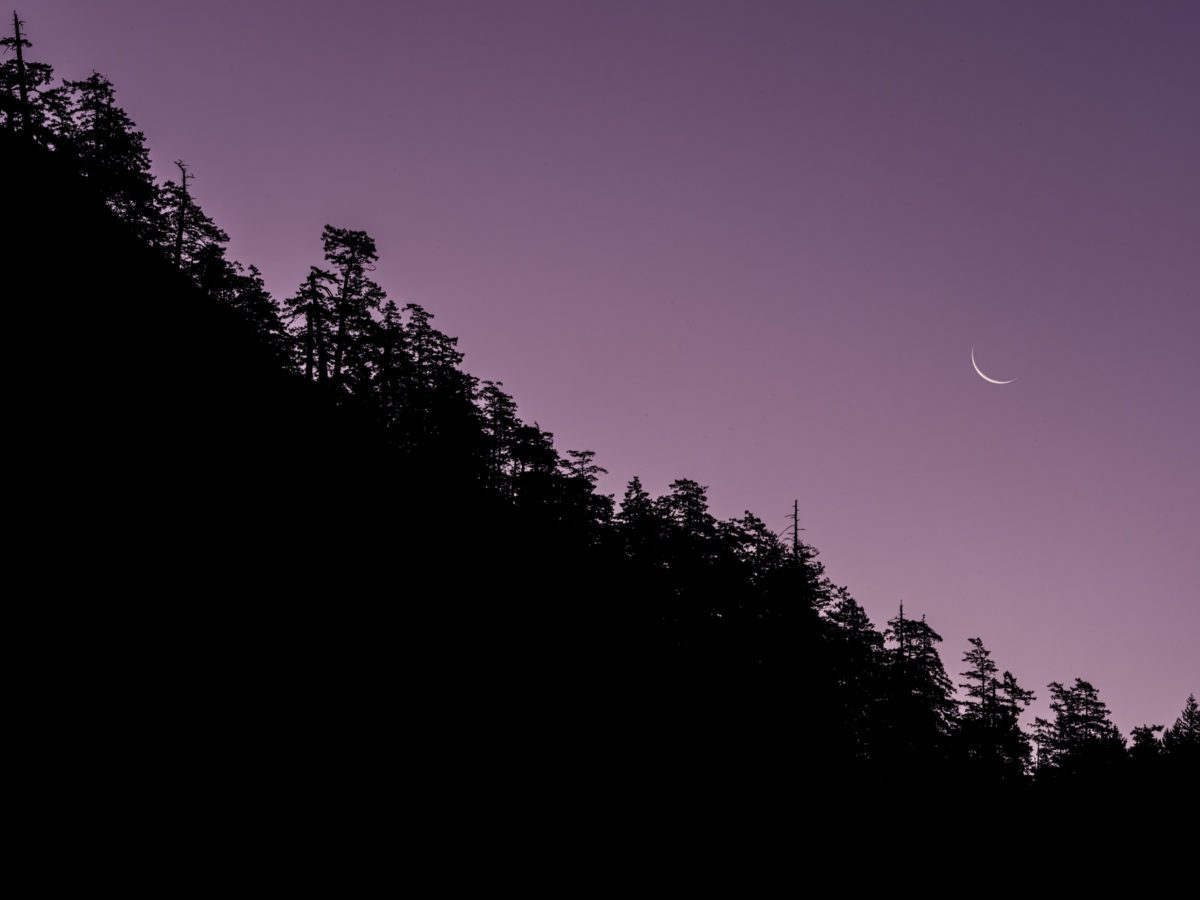 Saturna Island - Mount Fisher Bluffs - The Nature Trust of British Columbia