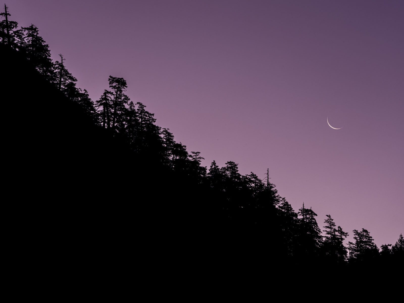 Saturna Island - Mount Fisher Bluffs - The Nature Trust of British Columbia