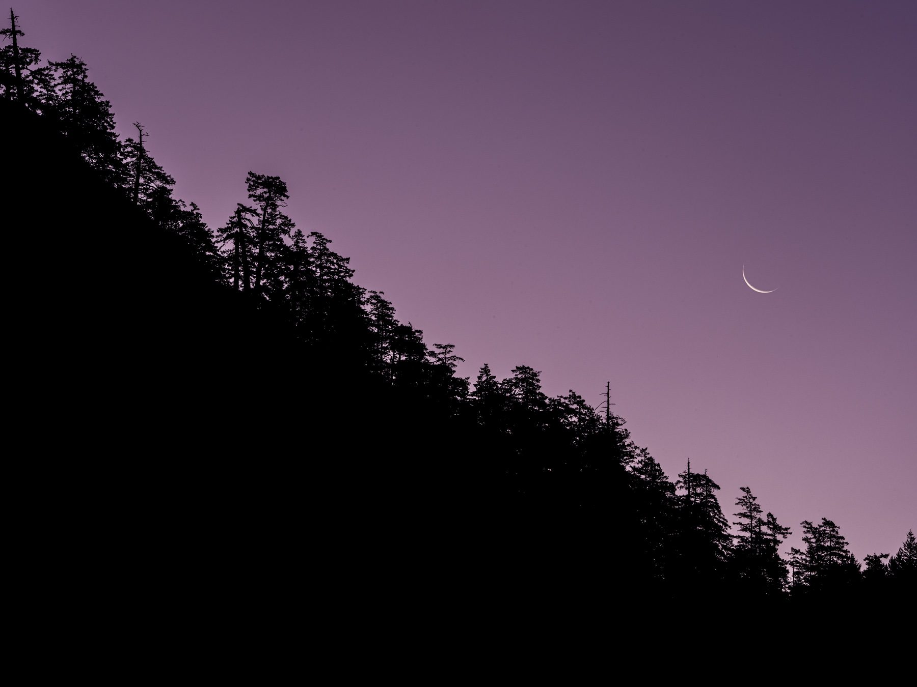 Saturna Island - Mount Fisher Bluffs - The Nature Trust of British Columbia