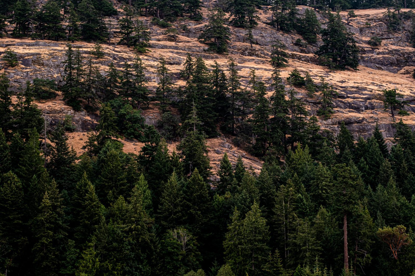Saturna Island - Mount Fisher Bluffs - The Nature Trust of British Columbia