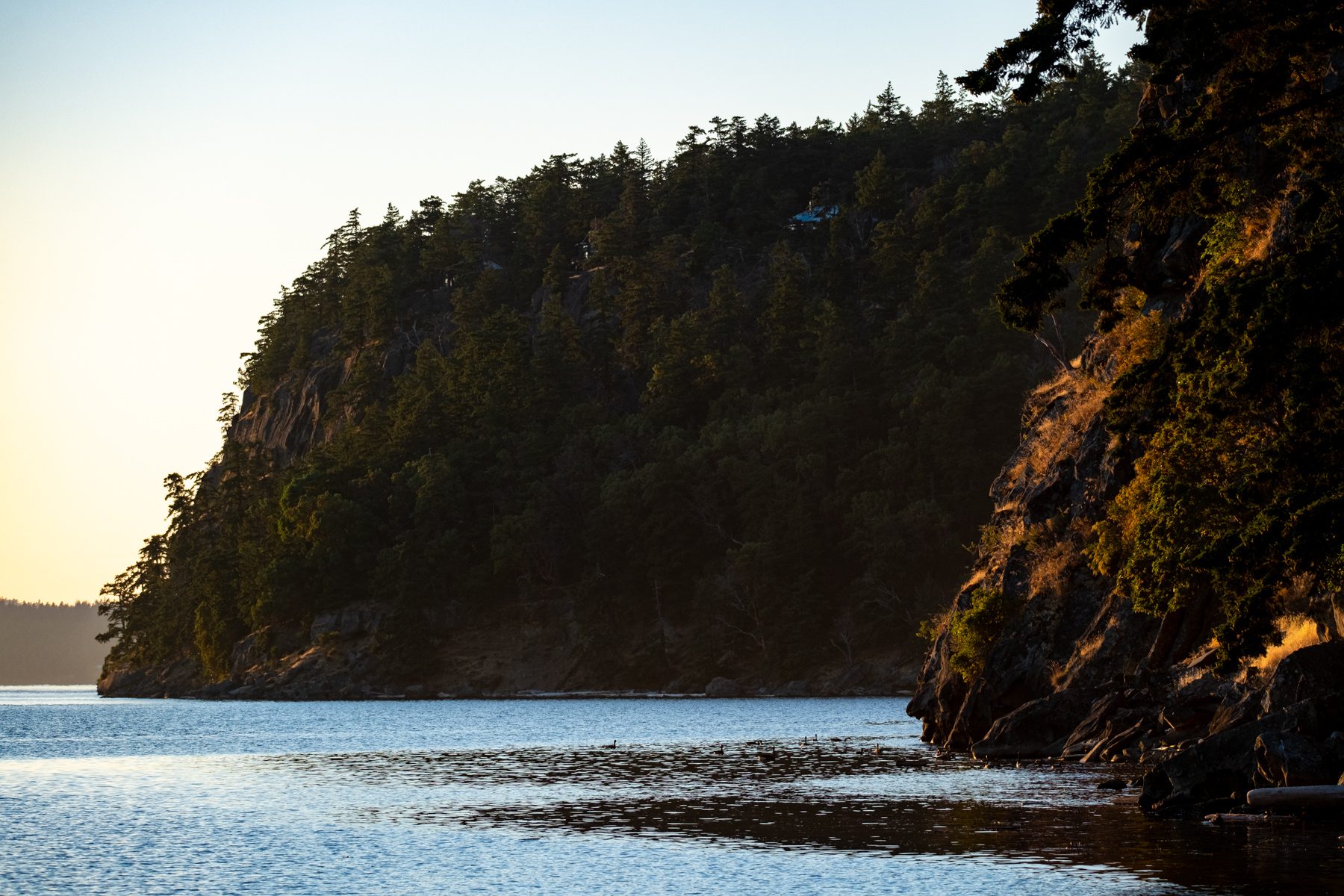 Saturna Island - Mount Fisher Bluffs - The Nature Trust of British Columbia