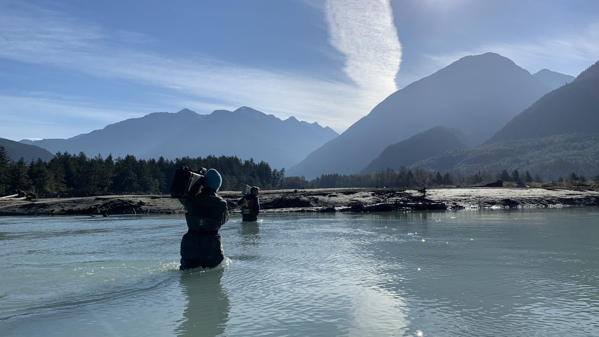 Working the Waterfront with Wolves - The Nature Trust of British Columbia