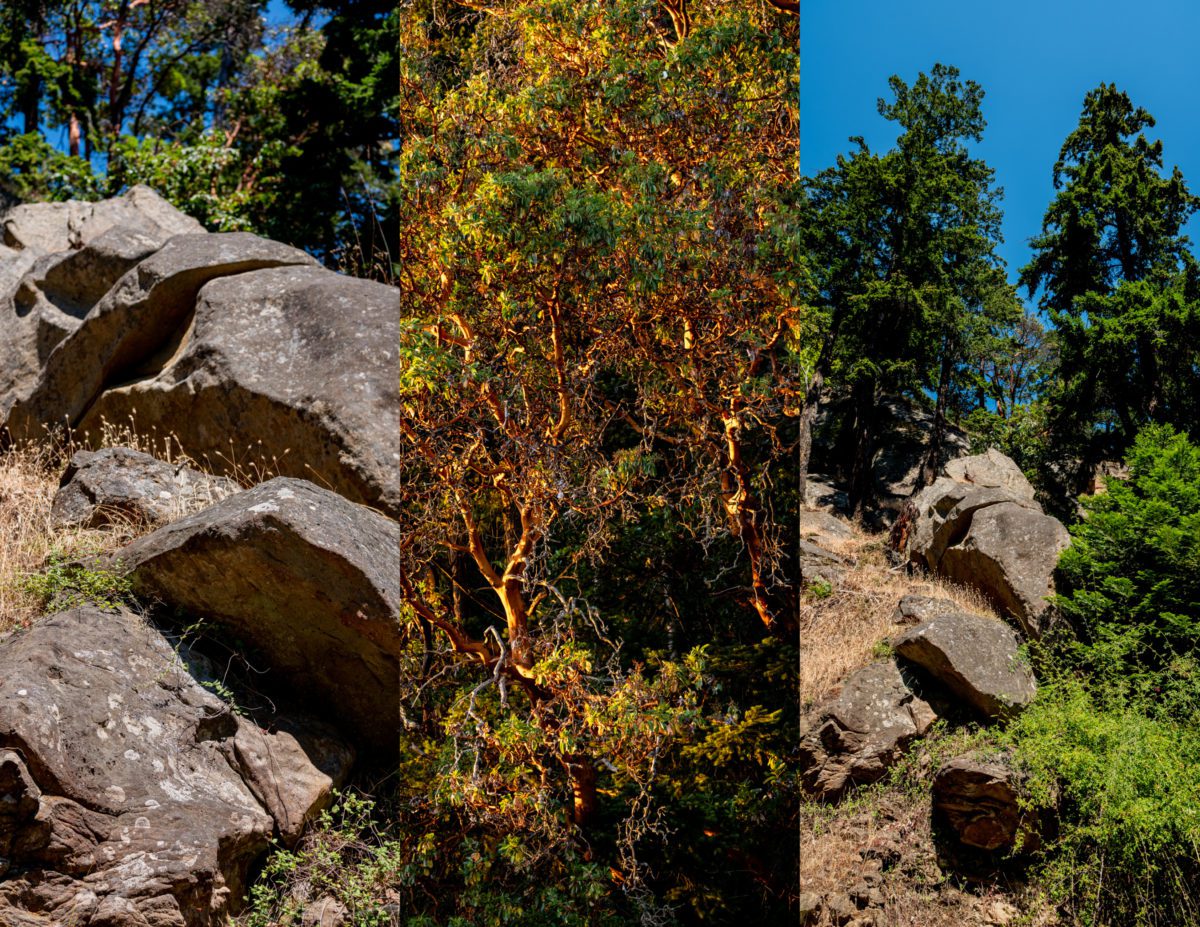 Saturna Island - Mount Fisher Bluffs - The Nature Trust of British Columbia