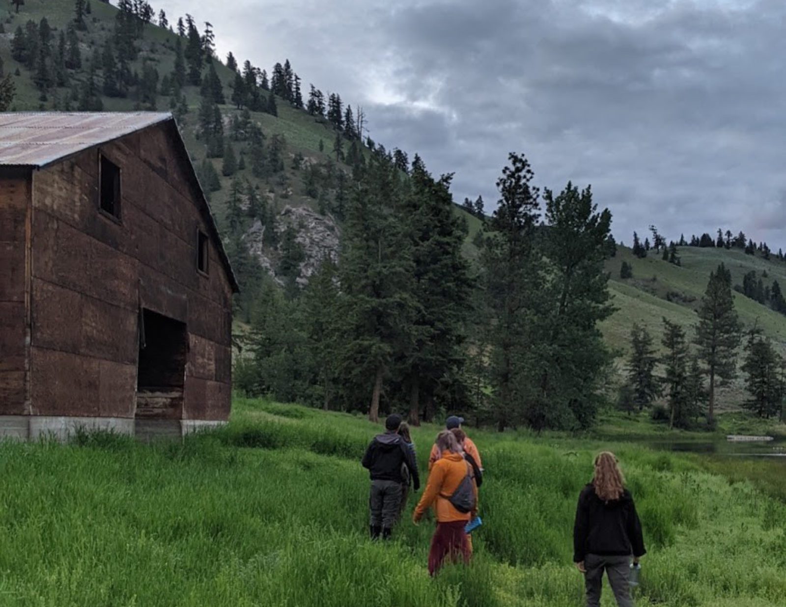 Night of the Bat - The Nature Trust of British Columbia