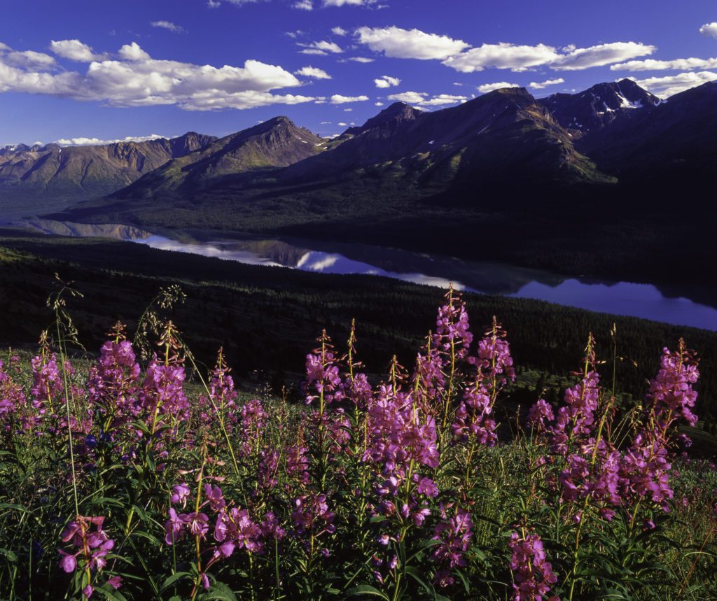 Photography on a Budget - The Nature Trust of British Columbia