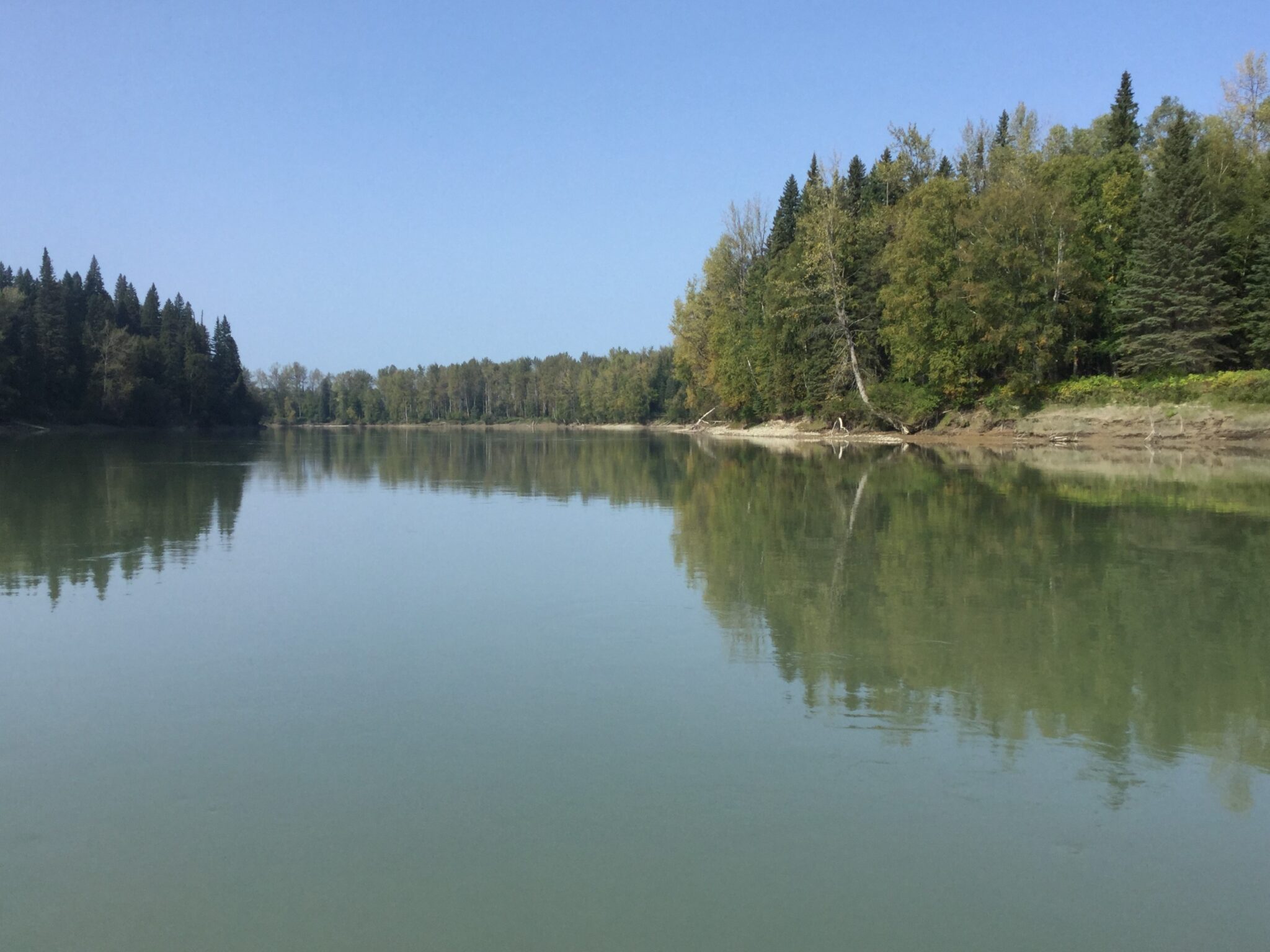 New Purchase of 235 Hectares near Prince George Protects Carbon ...