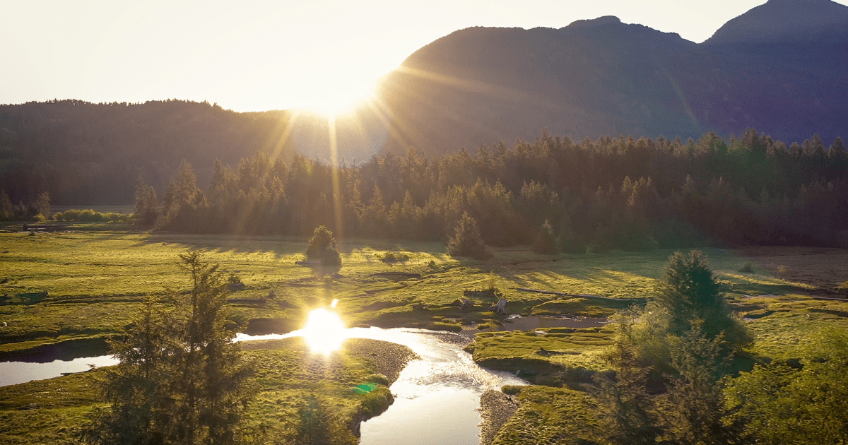 Conserving Vancouver Island - The Nature Trust of British Columbia