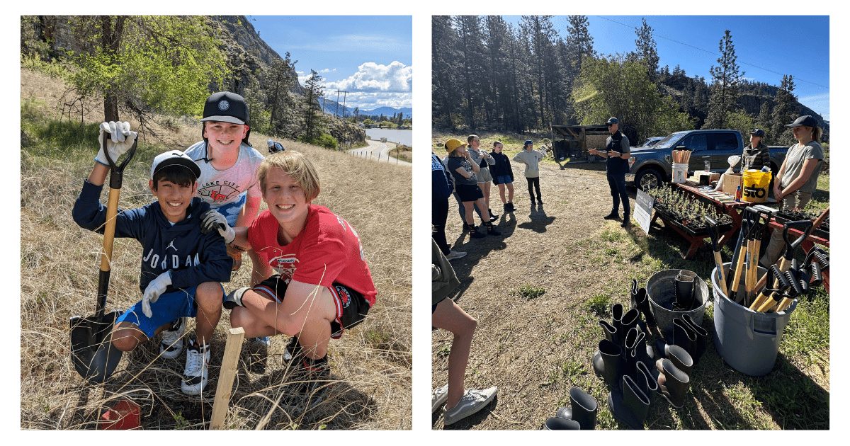 From Classroom to Conservation: Restoring Antelope-Brush in the ...