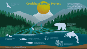 Largest Estuary Restoration Project on Vancouver Island starts work to ...