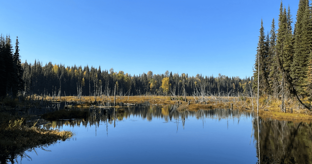 The Nature Trust of BC Rallies Community to Protect Vital Wetlands and ...