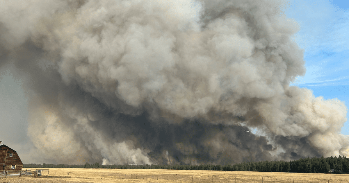Wildfire Recovery Fund - The Nature Trust of British Columbia