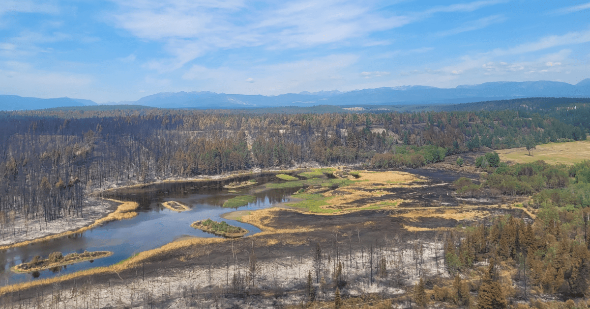 Wildfire Recovery Fund - The Nature Trust of British Columbia