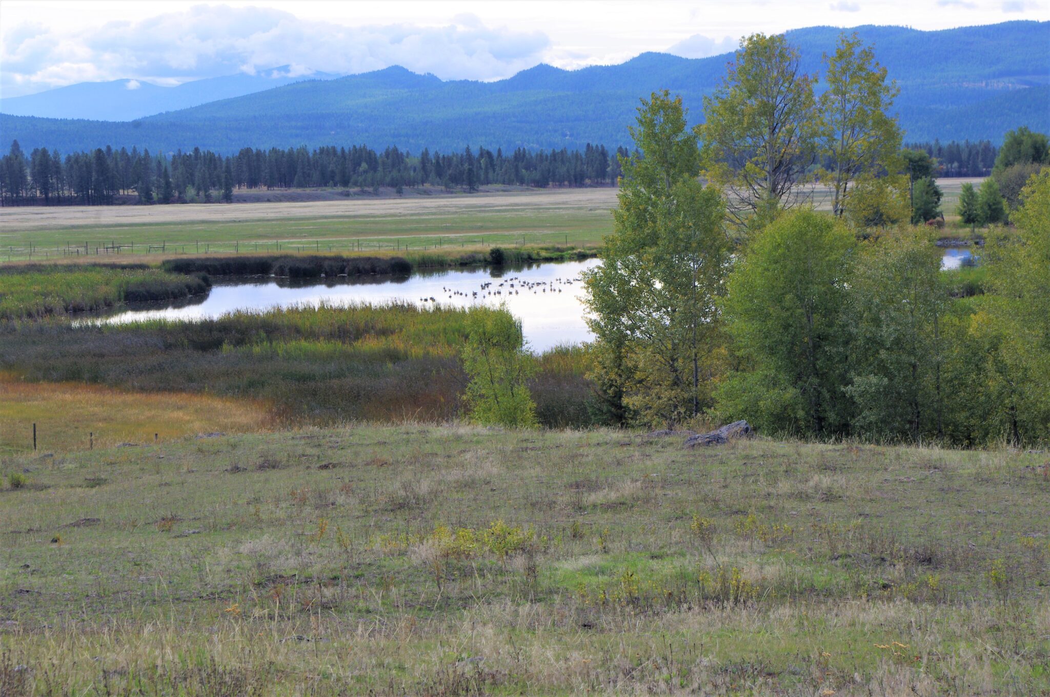 Wycliffe Wildlife Corridor - Wycliffe Prairie - The Nature Trust of ...