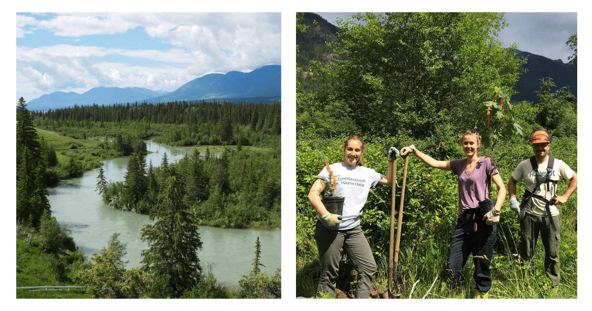 Understanding the Vital Role of Riparian Zones - The Nature Trust of ...