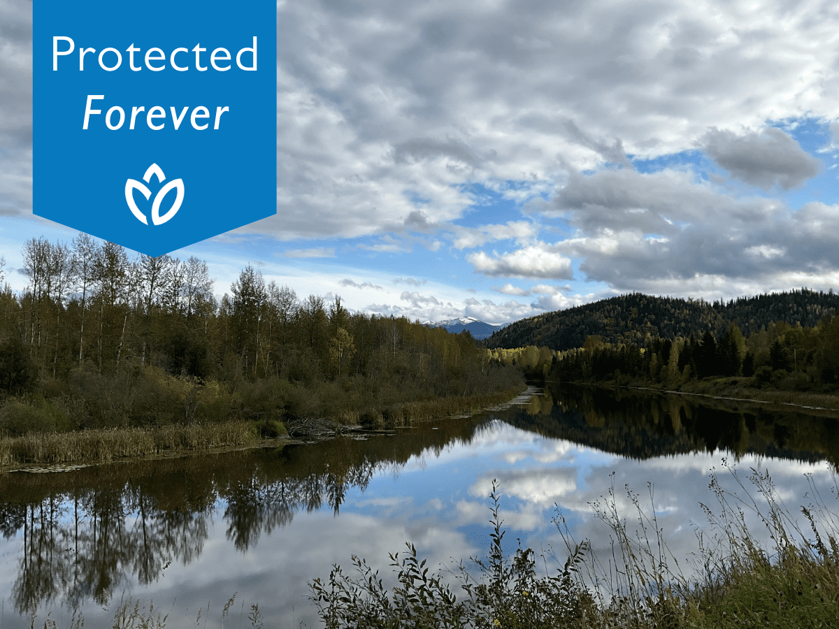 Northern BC - 285 Acres of Vulnerable Habitats - The Nature Trust of ...