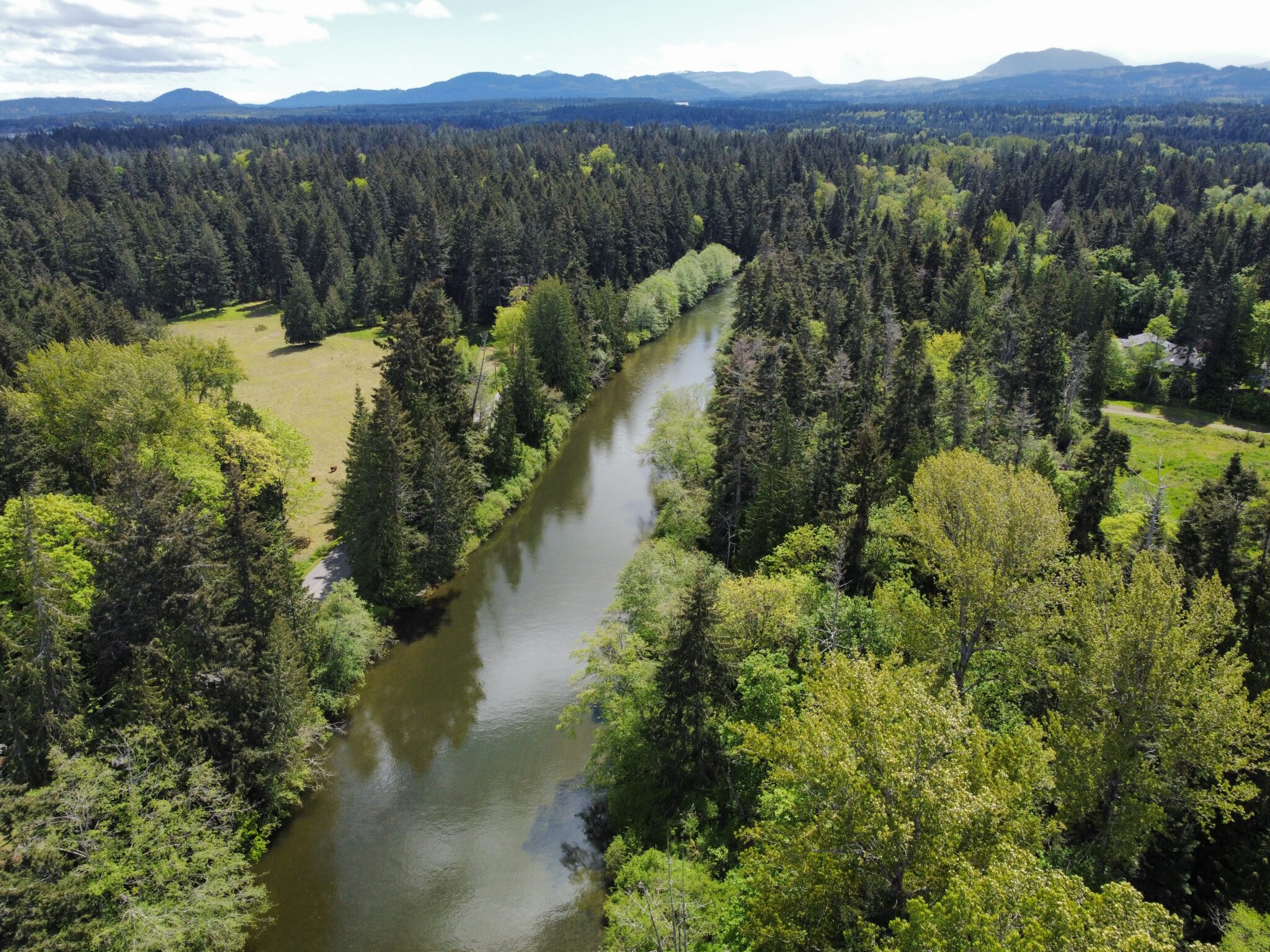 The Nature Trust of BC Rallies Public Support to Protect One of ...