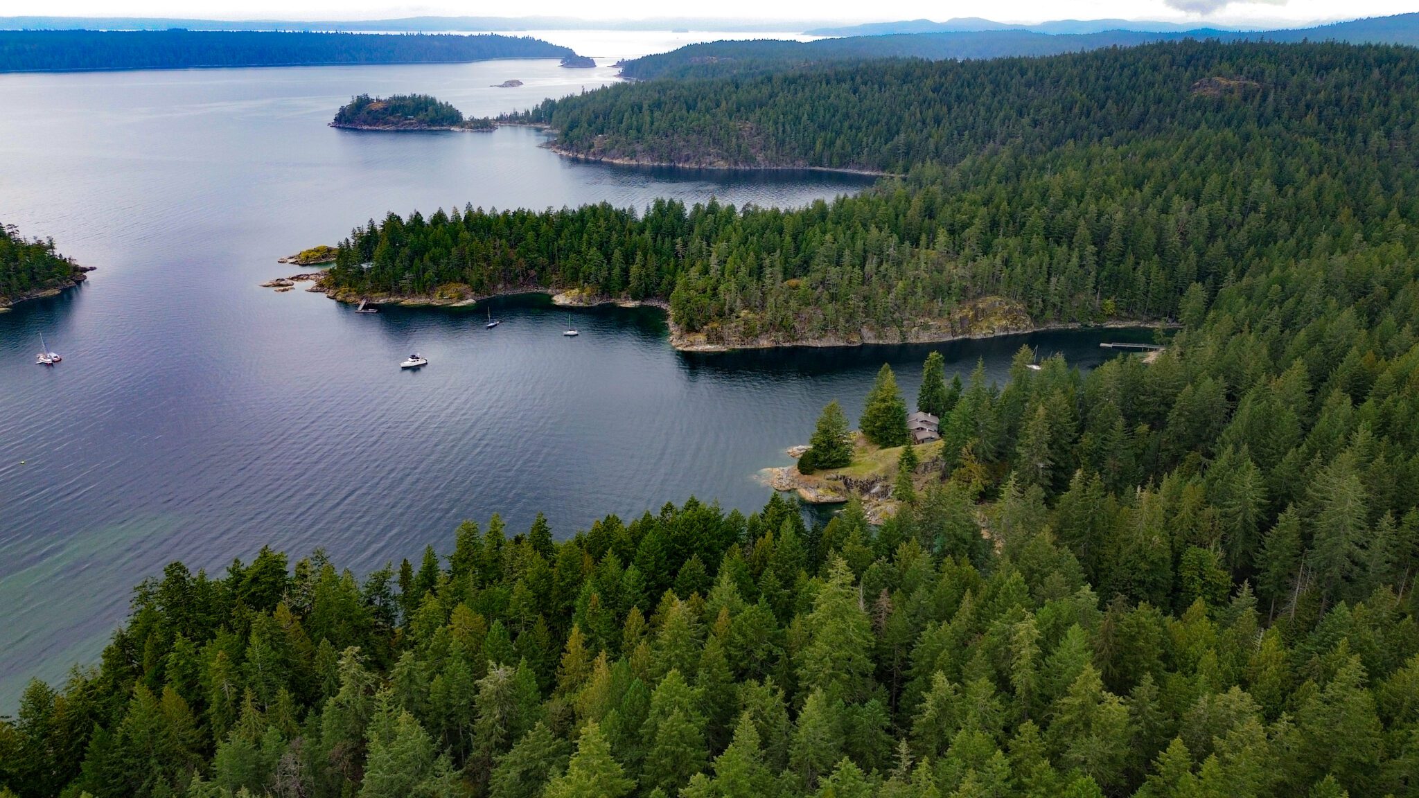 Help The Nature Trust of BC Purchase and Protect Over 14 Hectares of ...