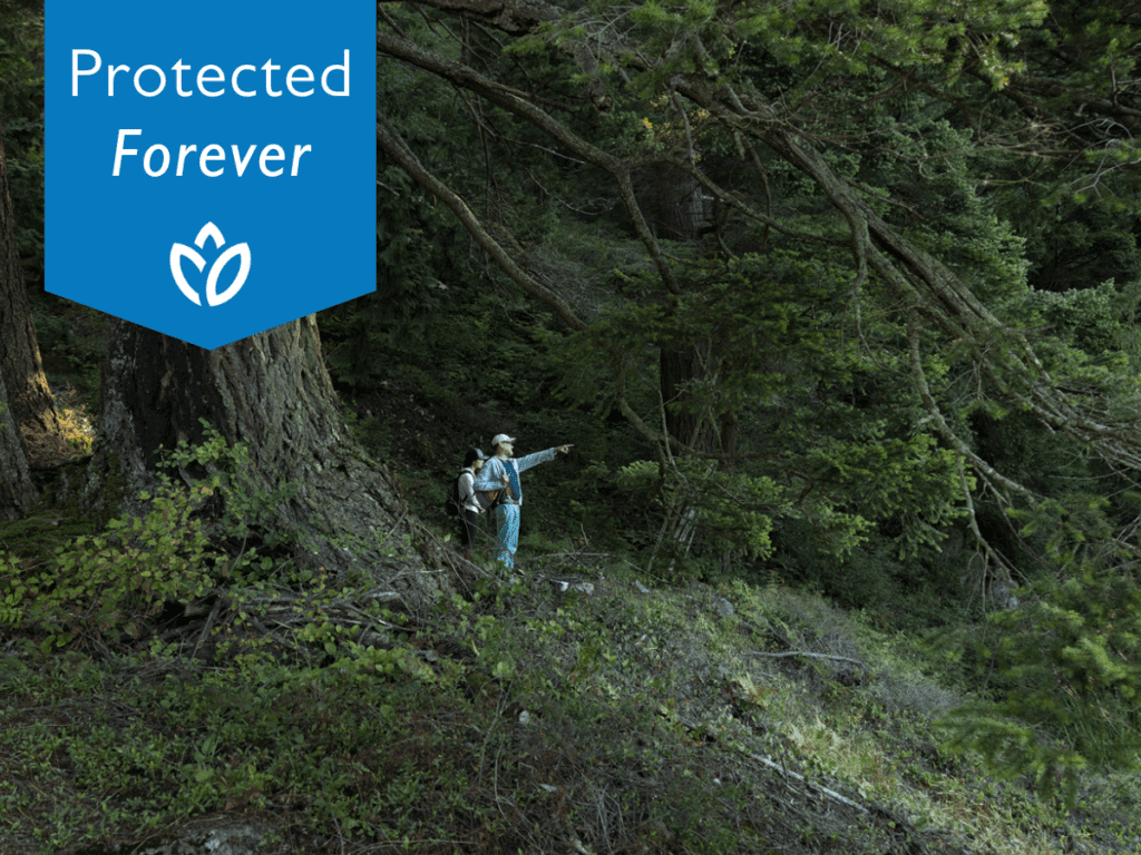 Lake Errock - The Nature Trust of British Columbia